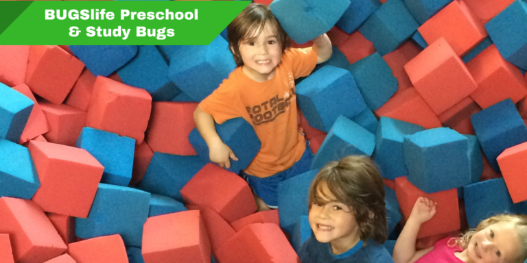 Study Bugs – Bloomington United Gymnastics & Soccer